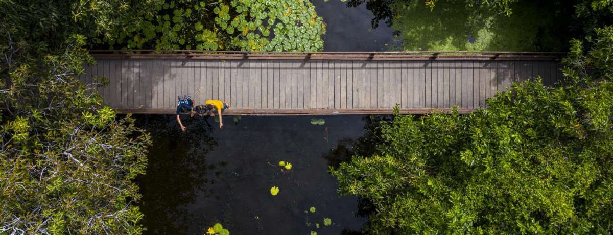 Área do Parque do Cocó é ampliada em 10 hectares para estimular ...